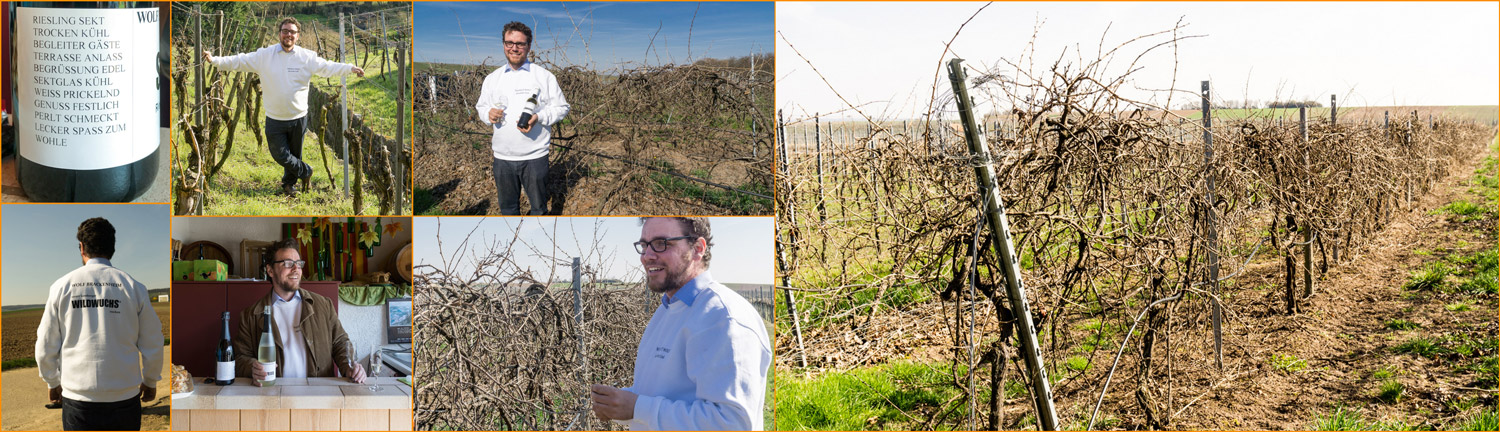 Alexander Link: "Die Natur ist doch groß genug…" | STIPvisiten